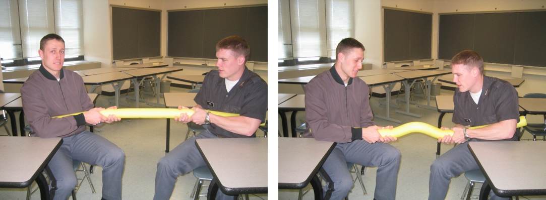 Wacky Fun Noodle | Hands-On Mechanics